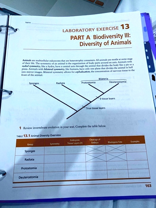 SOLVED: LABORATORY EXERCISE 13 PART A Biodiversity Ill: Diversity of ...