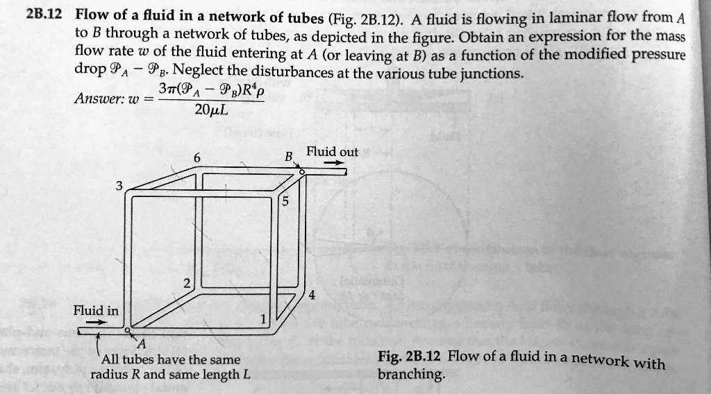 2B.12 Flow of a fluid in a network of tubes (Fig. 2B.12). A fluid is ...