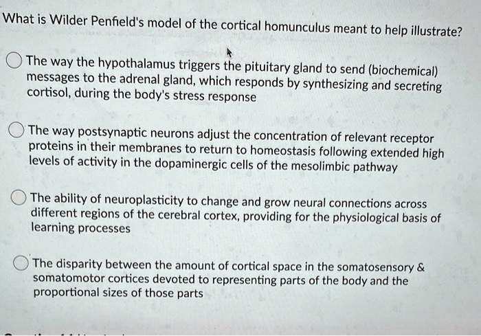 What is Wilder Penfield's model of the cortical homunculus meant to ...