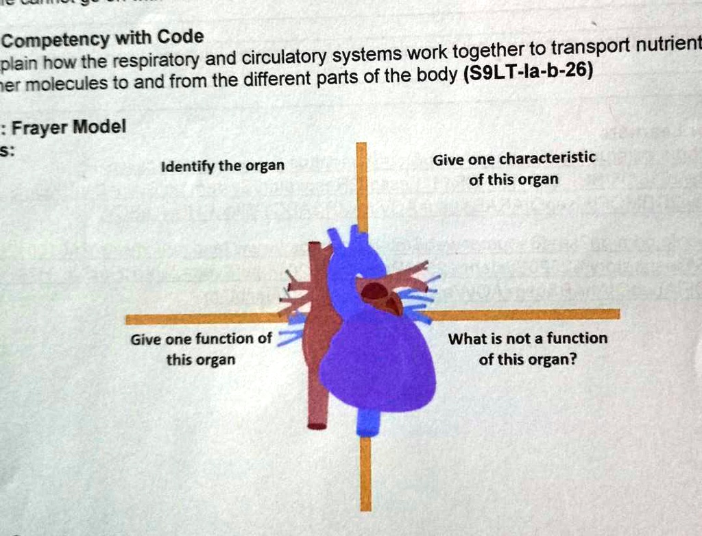 Competency with Code Explain how the respiratory and circulatory ...