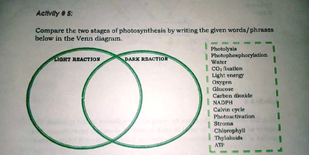 SOLVED: Compare the two stages of photosynthesis by writing the given ...