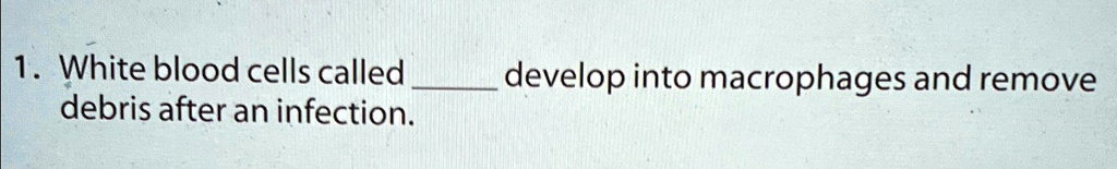 1. White blood cells called develop into macrophages and remove debris ...