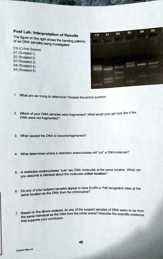 [GET ANSWER] Post Lab: Interpretation of Results The figure on the ...