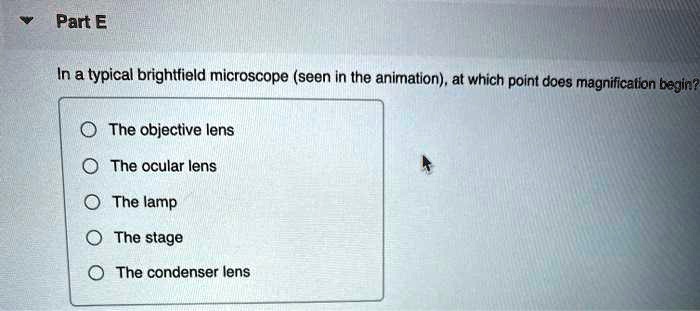 part e in a typical brightfield microscope seen in the animation at ...