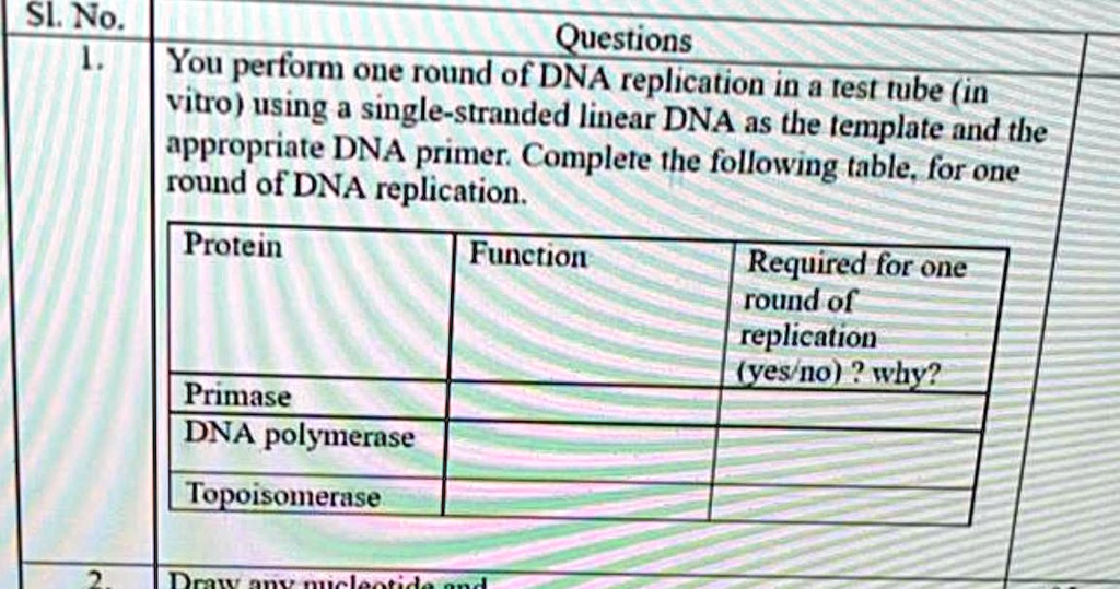 sl no questions you pertorm one round of dna replication in 4 test iube ...