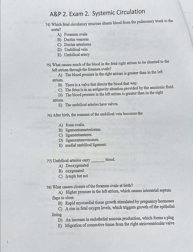 ap 2 exam 2 systemic circulation 74 which fetal circulatory structure ...