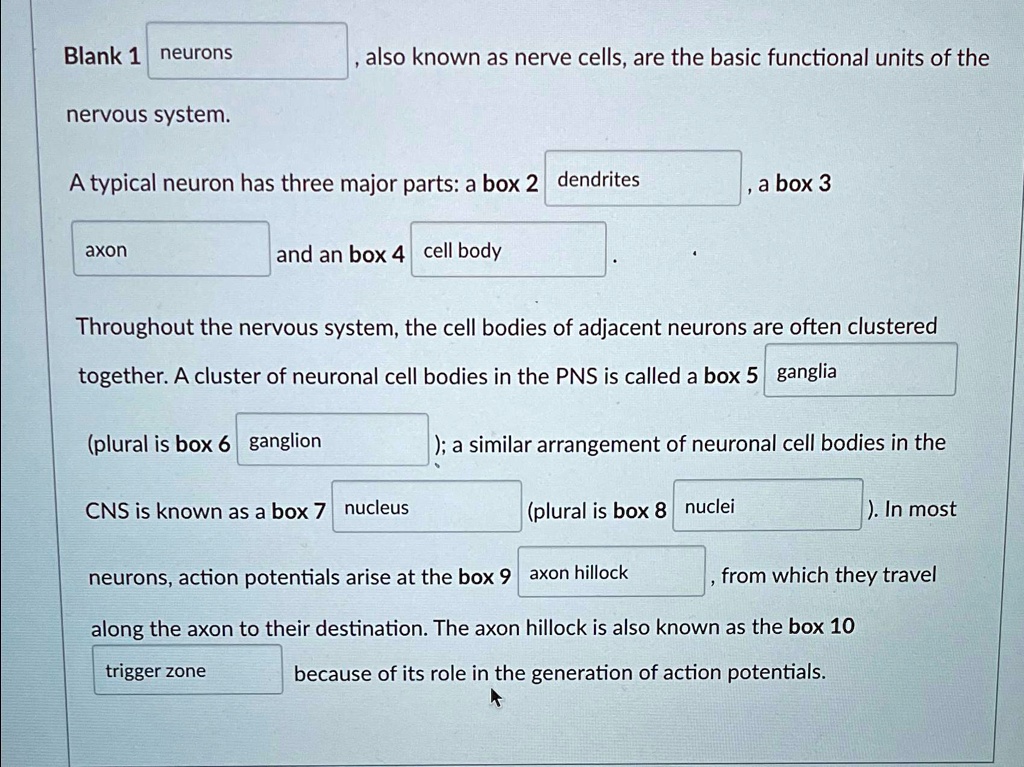 Blank 1 neurons , also known as nerve cells, are the basic functional ...