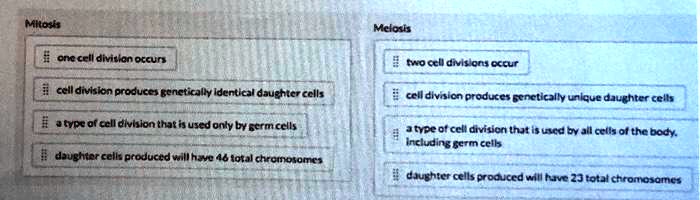SOLVED: Mitosis Meiosis One cell division occurs. Cell division ...