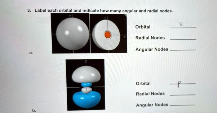 Solved Label Each Orbital And Indicate How Many Angular And Radial