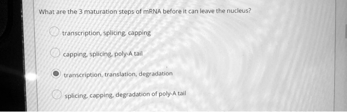 [GET ANSWER] What are the 3 maturation steps of mRNA before it can ...