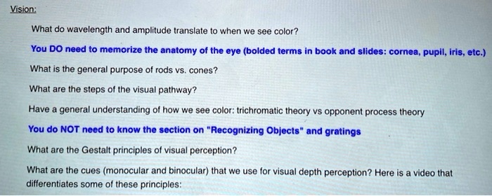 Vision: What do wavelength and amplitude translate to when we see color ...