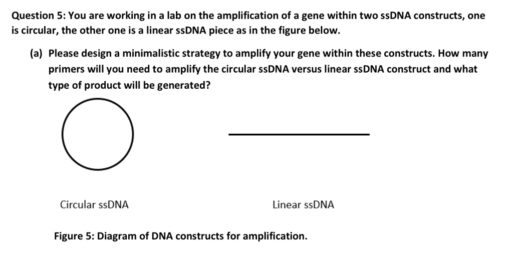 SOLVED: Question 5: You are working in a lab on the amplification of a ...