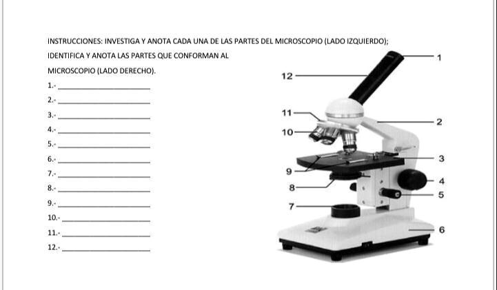 SOLVED: Olaaaaaaaaaaaaaaaaaaaaaaa INSTRUCCIONES; INVESTIGA AnoTa CaDA ...