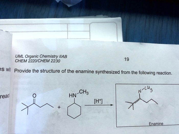 SOLVED: UML Organic Chemistry IIAB CHEM 2220/CHEM 2230 19 S Wi Provide ...