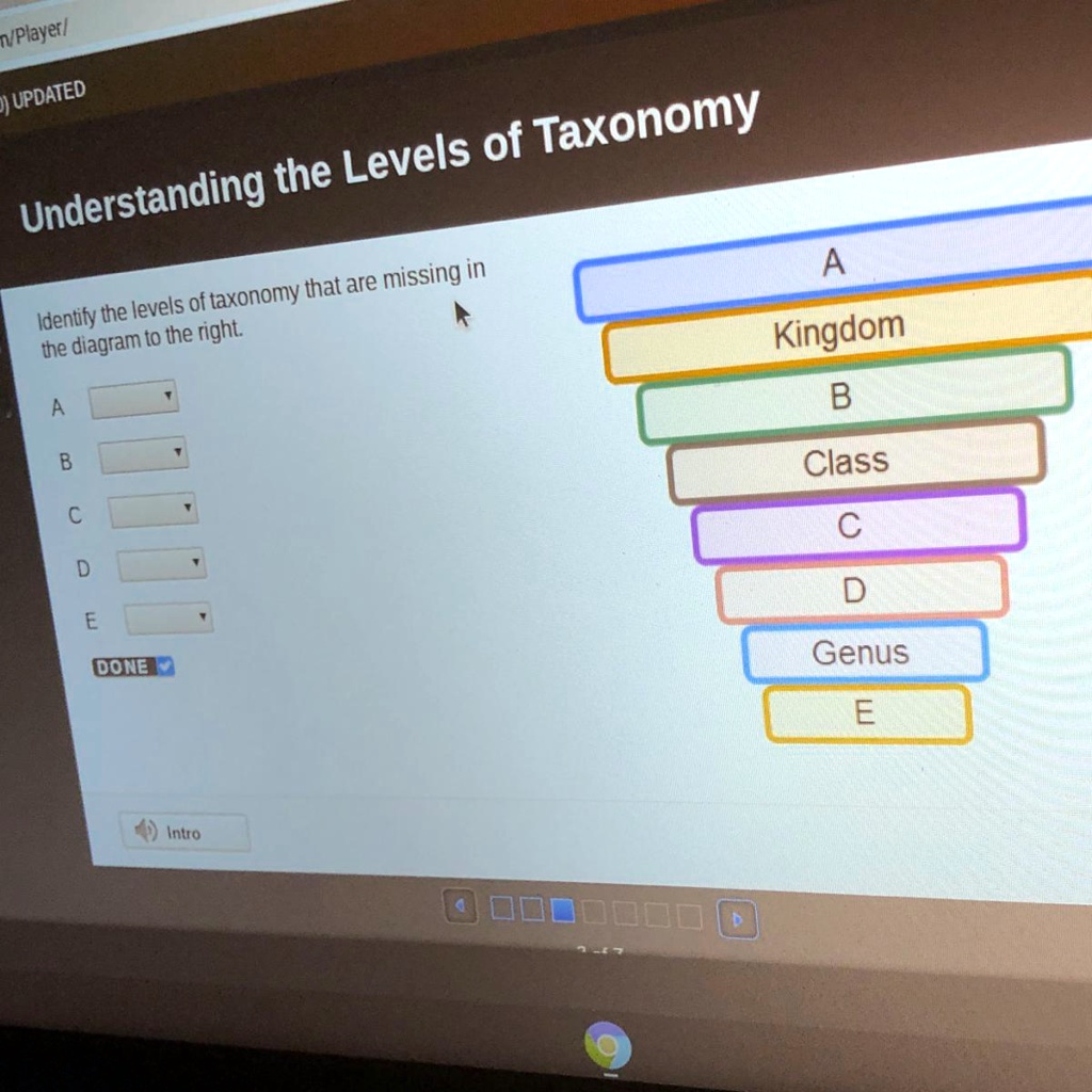 identify the levels of taxonomy that are missing in the diagram to the ...