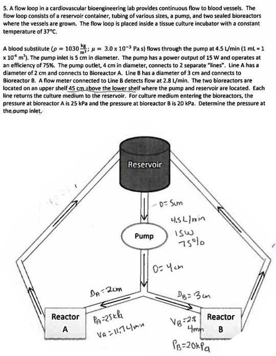 SOLVED: A flow loop in a cardiovascular bioengineering lab provides ...