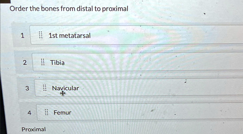 SOLVED: Order the bones from distal to proximal 1 1st metatarsal 2 ...