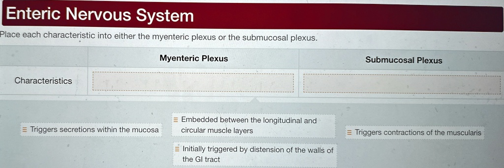 Enteric Nervous System Place each characteristic into either the ...