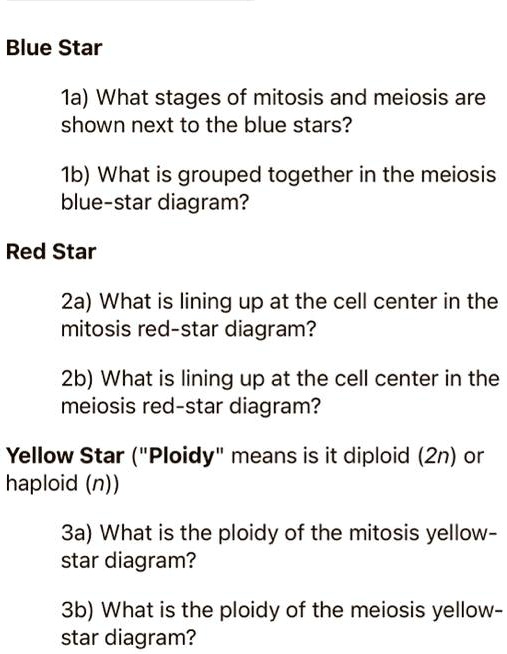 SOLVED: Ia) What stages of mitosis and meiosis are shown next to the ...