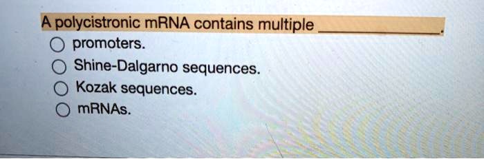 A polycistronic mRNA contains multiple promoters: Shine-Dalgarno ...