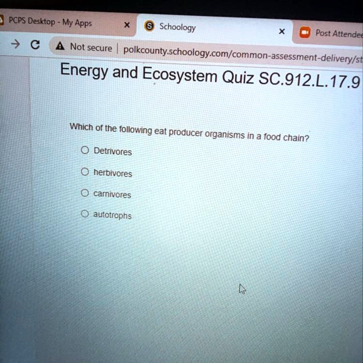 SOLVED: 'which of the following eat producer organisms in a food chain ...