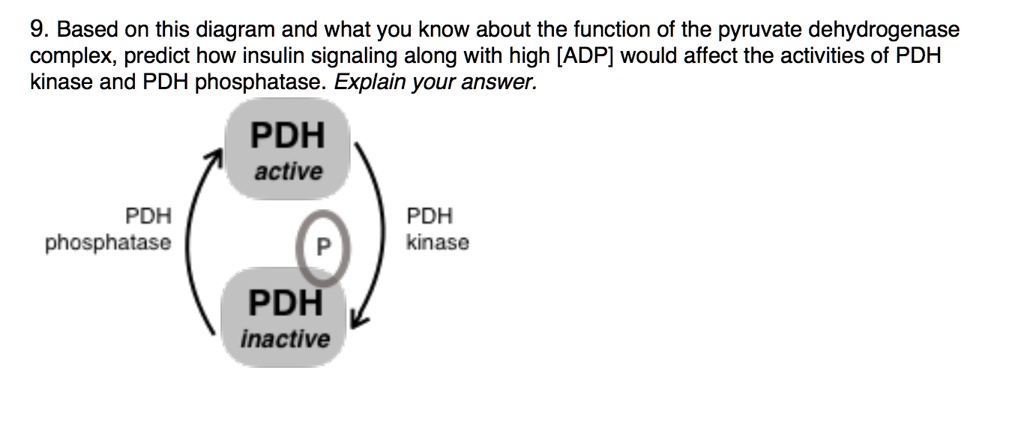 SOLVED: 9. Based on this diagram and what you know about the function ...