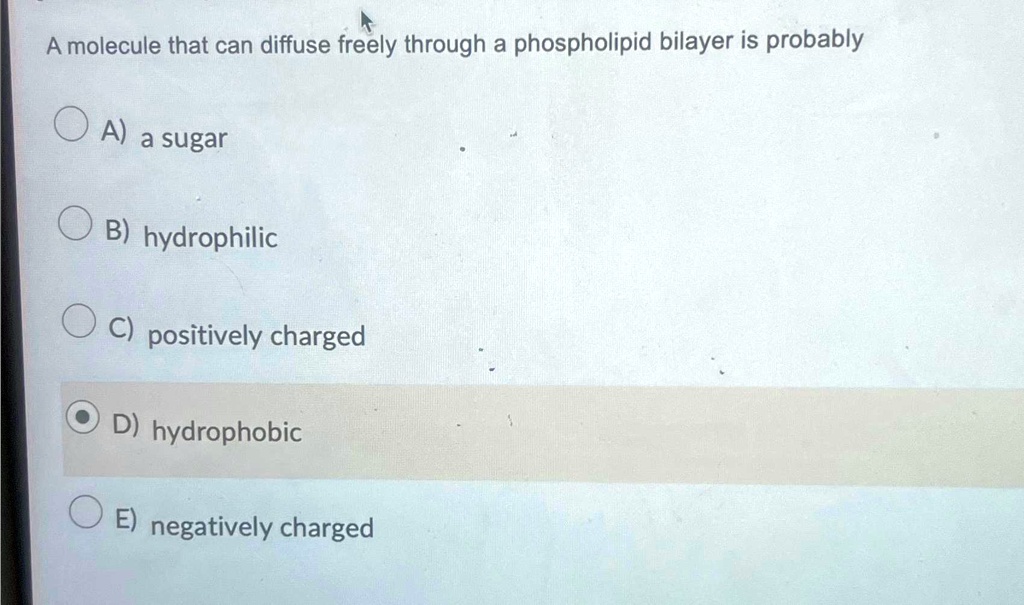 SOLVED: A molecule that can diffuse freely through a phospholipid bilayer is probably A) a sugar ...