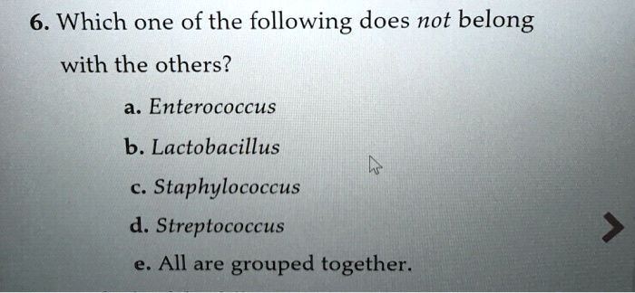 SOLVED: 6. Which one of the following does not belong with the others? a. Enterococcus b ...