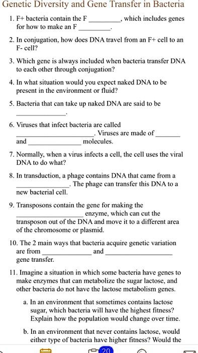 genetic diversity and gene transfer in bacteria f bacteria contain the ...