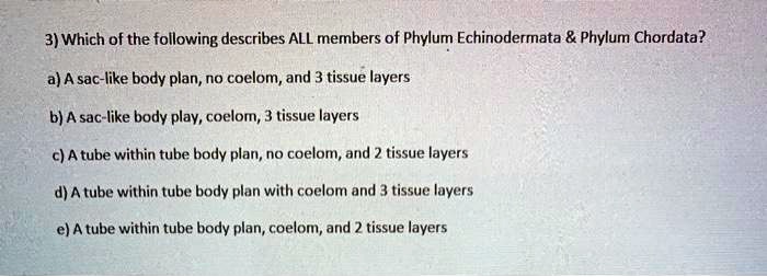 3 which of the following describes all members of phylum echinoderrata ...