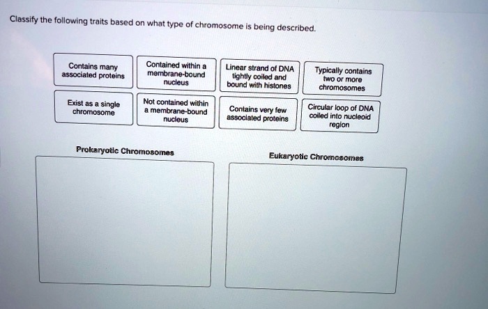SOLVED: Classify the following traits based on what type of chromosome is being described ...