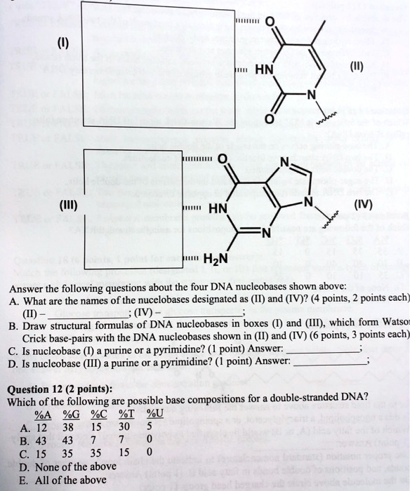 (1) (III) N H2N HN N N N www ww (II) (IV) Answer the following ...