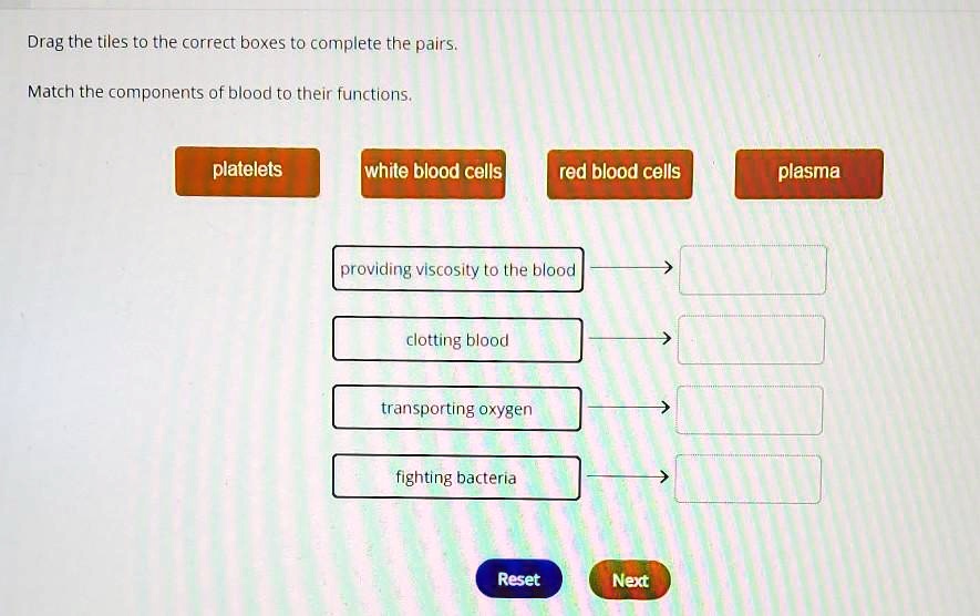 SOLVED: Drag the tiles to the correct boxes to complete the pairs ...