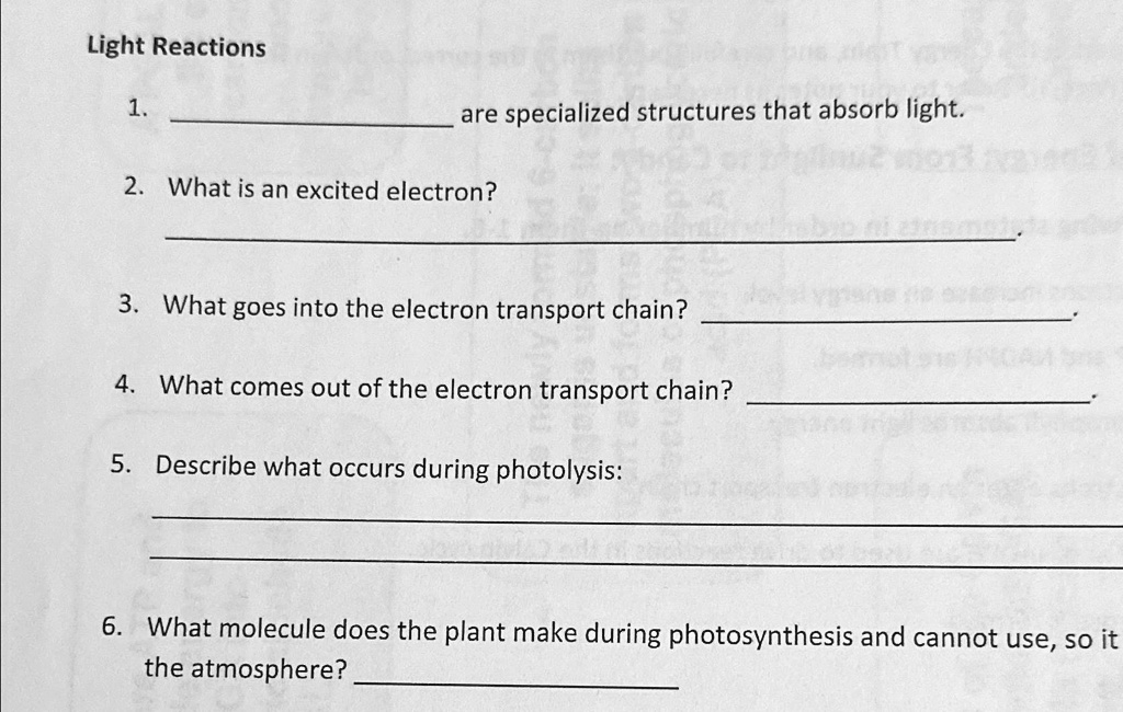 Light Reactions are specialized structures that absorb light. What is ...
