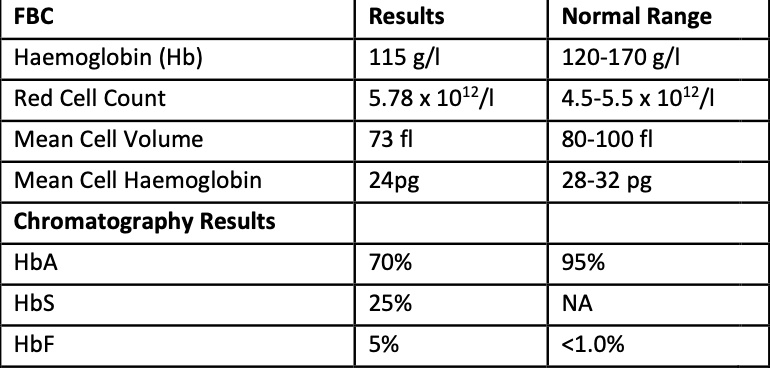 a patient has the following full blood count fbc and chromatography ...