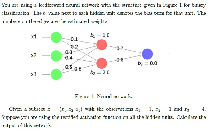 You are using a feedforward neural network with the structure given in Figure 1 for binary ...