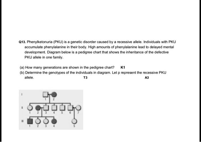 q13phenylketonuria pkuis a genetic disorder caused by a recessive ...