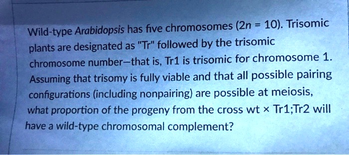 wild type arabidopsis has five chromosomes 2n 10 trisomic plants are ...