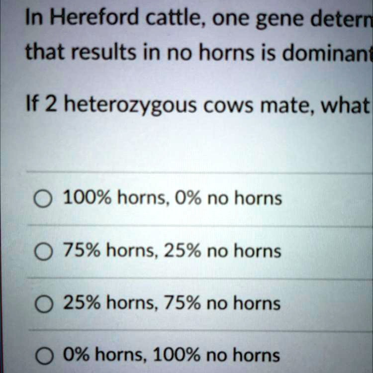 In Hereford cattle, one gene determines that results in no horns is ...