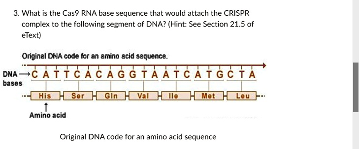VIDEO solution: How do I determine the Cas9 RNA base sequence? What is the Cas9 RNA base ...