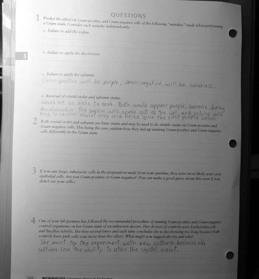 3 QUESTIONS 1 Predict the effect on Gram-positive and Gram-negative ...