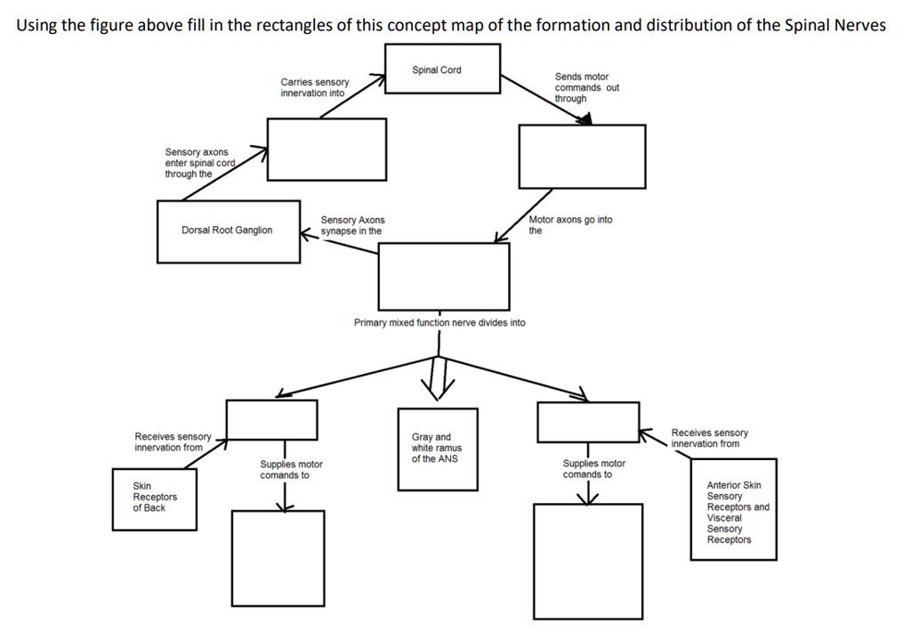 using the figure above fill in the rectangles of this concept map of ...