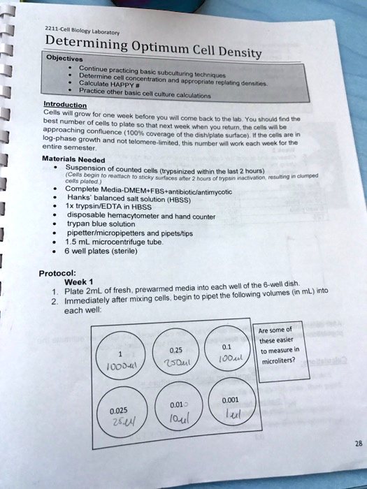 SOLVED: 1211 Cul Riolory Laboratory "Determining Optimum Cell Density ...