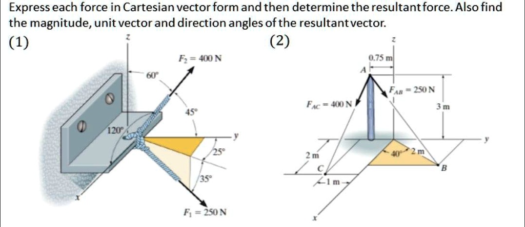 SOLVED: Express each force in Cartesian vector form and then determine ...