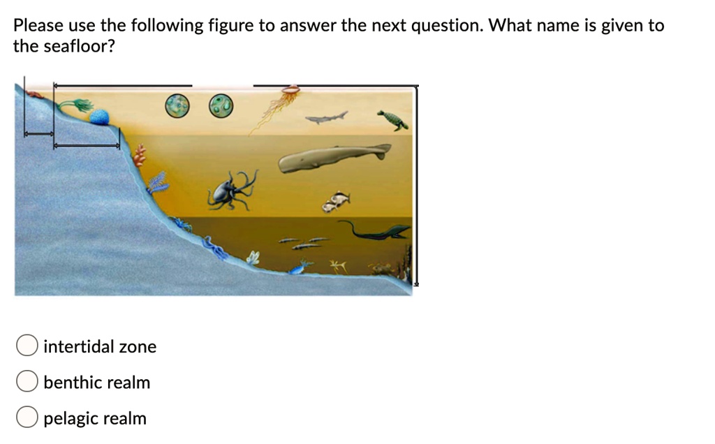 please use the following figure to answer the next question what name ...