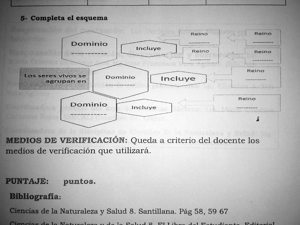 SOLVED: Completa el esquema:los seres vivos se agrupan en: 5- Completa ...