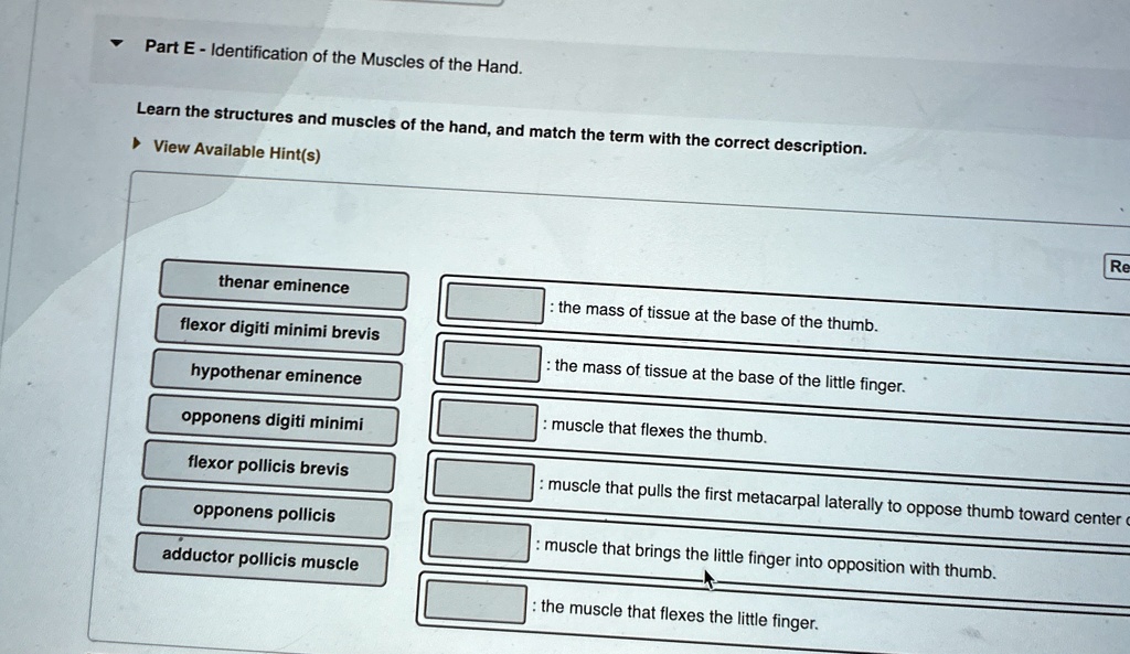 part e identification of the muscles of the hand learn the structures and muscles of the hand ...