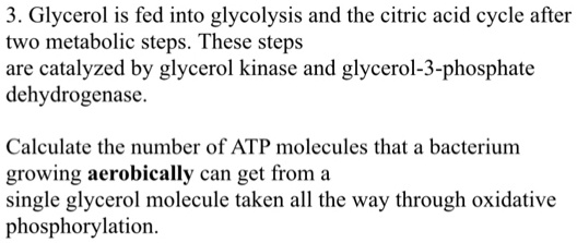 SOLVED: 3 . Glycerol is fed into glycolysis and the citric acid cycle ...