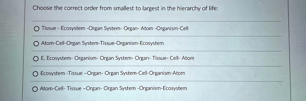 Choose the correct order from smallest to largest in the hierarchy of ...