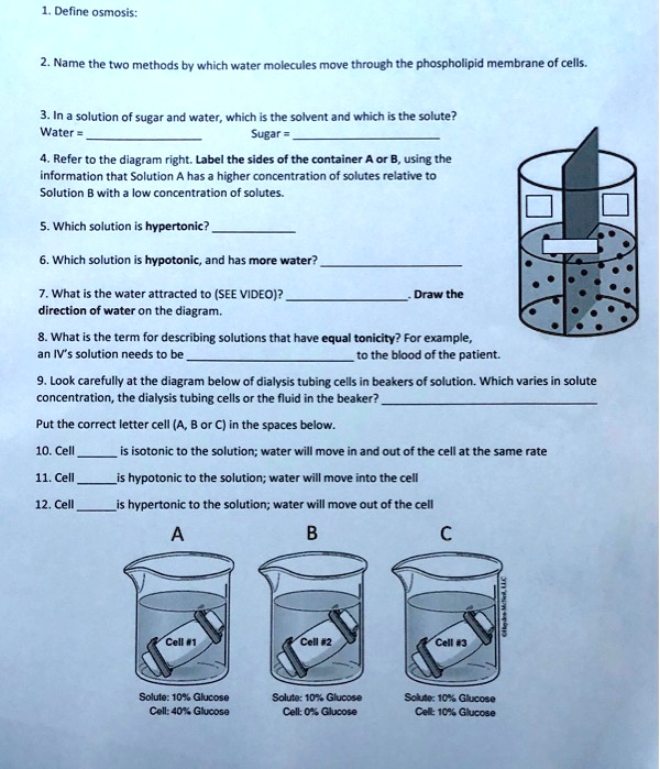 VIDEO solution: Define osmosis: Name the two methods by which water ...